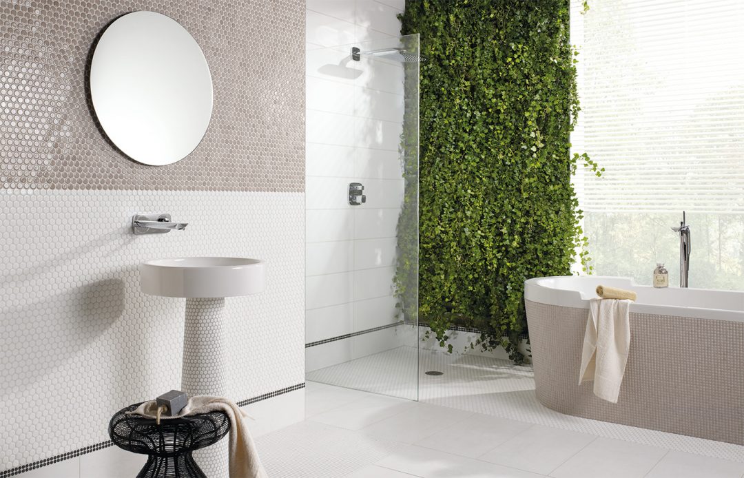 Jasba (DSA) | Genesee Ceramic Tile