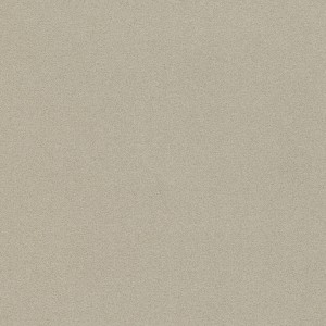 Mirage_Transition_TR02_60-300×300 | Genesee Ceramic Tile